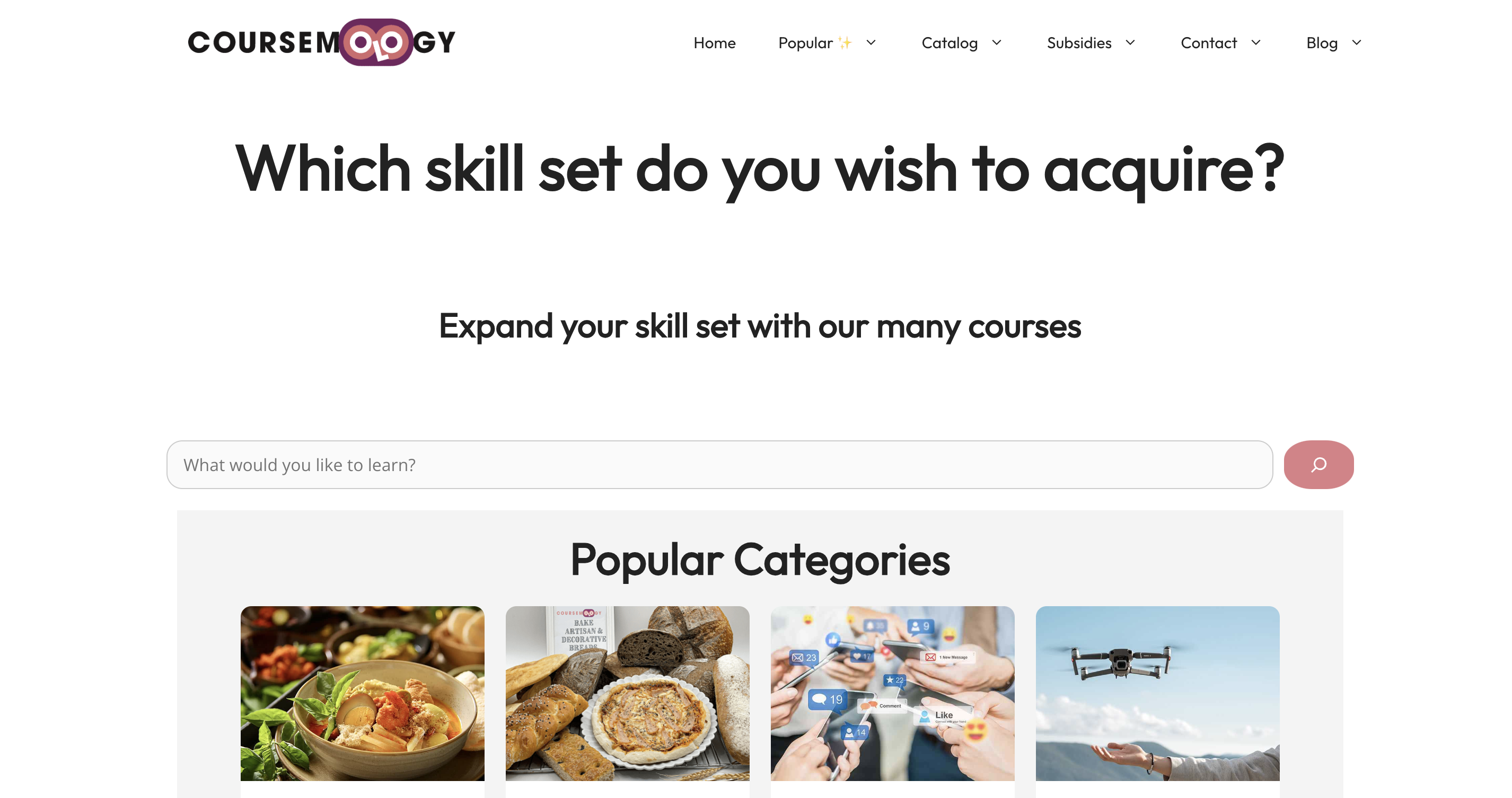 https://coursemology.sg/